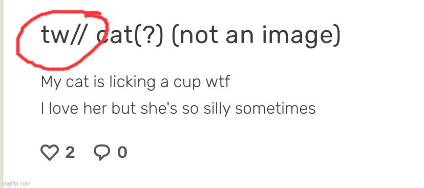 WhY WOULD YOU PUT A TRIGGER WARNING FOR YOUR CAT - Imgflip