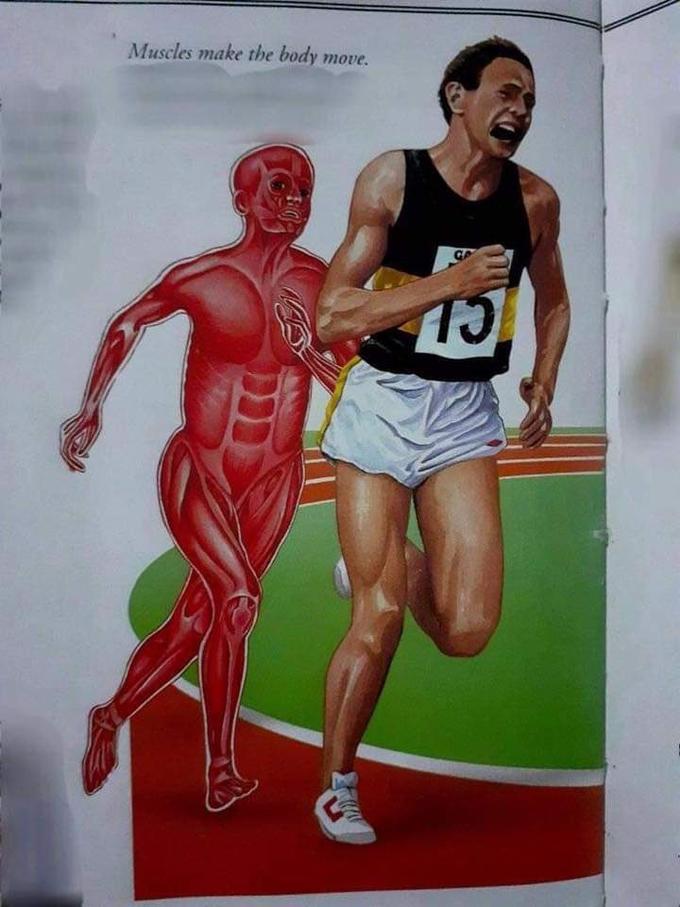 Muscles Make The Body Move Blank Template Imgflip