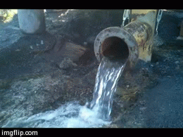 Animated GIF - Imgflip