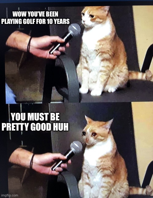 Cat interview crying - Imgflip