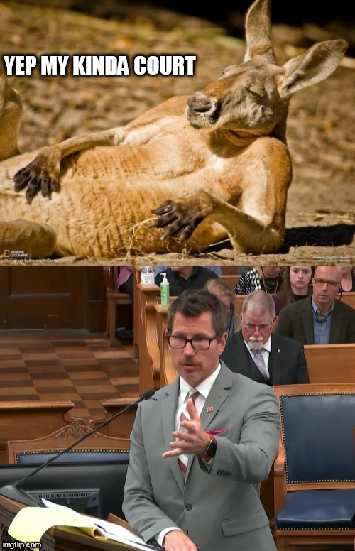 Image tagged in chillin kangaroo,thomas binger trial question - Imgflip