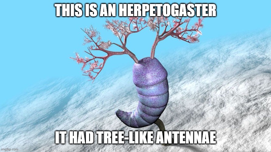 herpetogasters were invertebrates, the question is how did they go ...