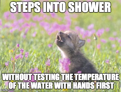 Baby Insanity Wolf Meme - Imgflip