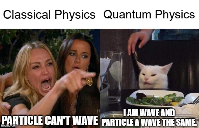 Woman Yelling At Cat Meme - Imgflip