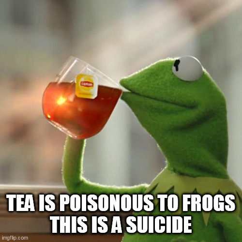 But That's None Of My Business Meme - Imgflip