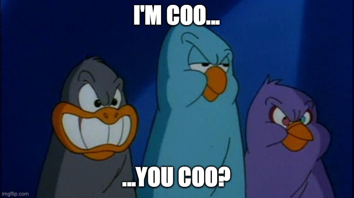 Good Feathers - Imgflip