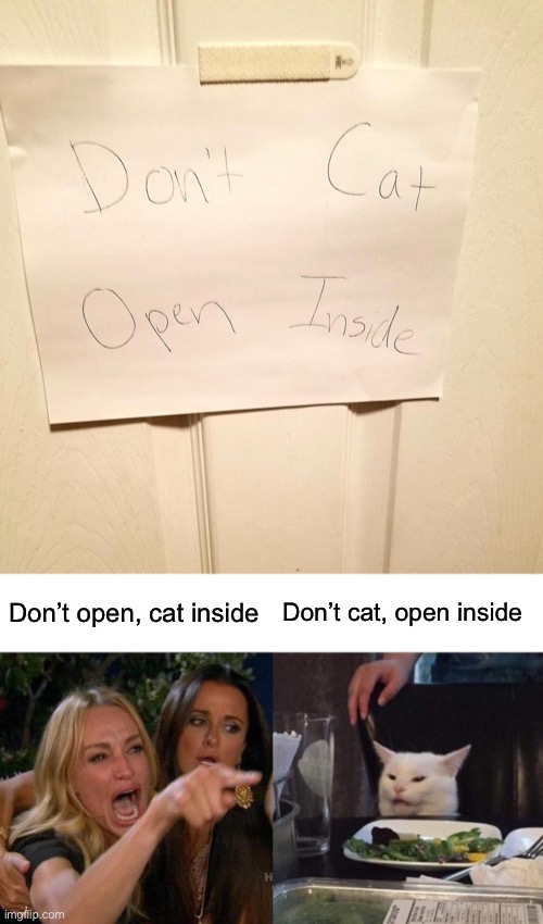 Image tagged in memes,woman yelling at cat - Imgflip