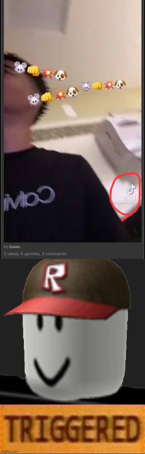 Image tagged in triggered - Imgflip