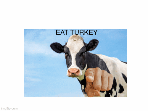 Eat turkey!!… for thanksgiving - Imgflip