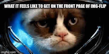 IMG-Flip Meme - Imgflip