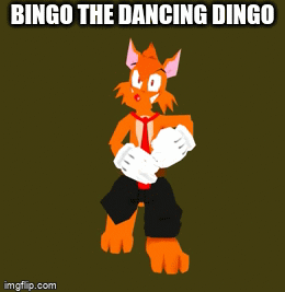 bingo the dancing dingo(credit to BingotheDancingDingo for the meme ...