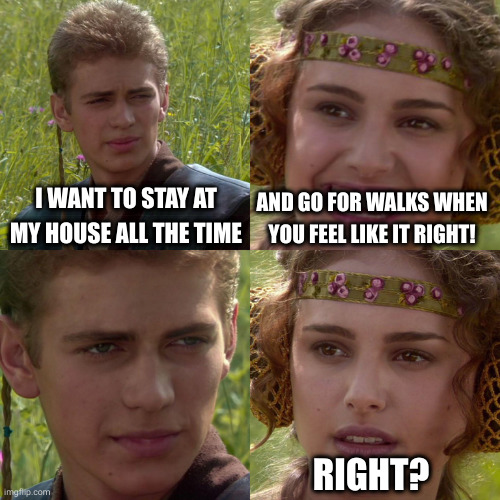 Anakin Padme 4 Panel - Imgflip