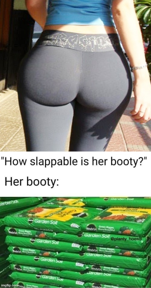Image tagged in big booty,booty - Imgflip