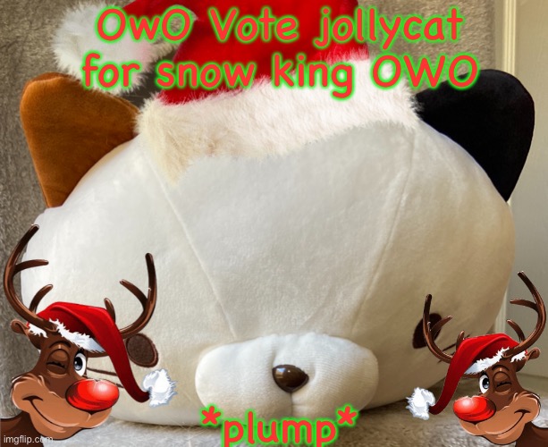 Owo Vote jollycat for snow meme king owO - Imgflip