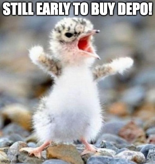 Early Bird!!! - Imgflip