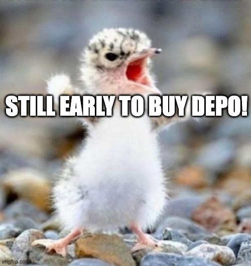 Early Bird!!! - Imgflip