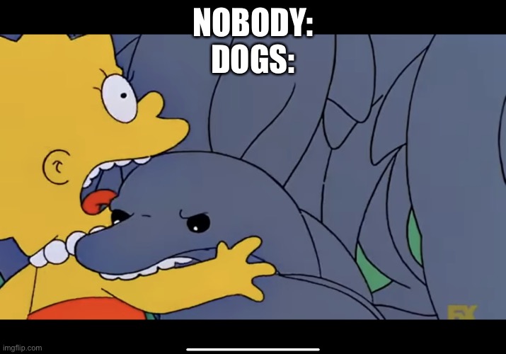 Image tagged in lisa getting bitten by dolphin - Imgflip