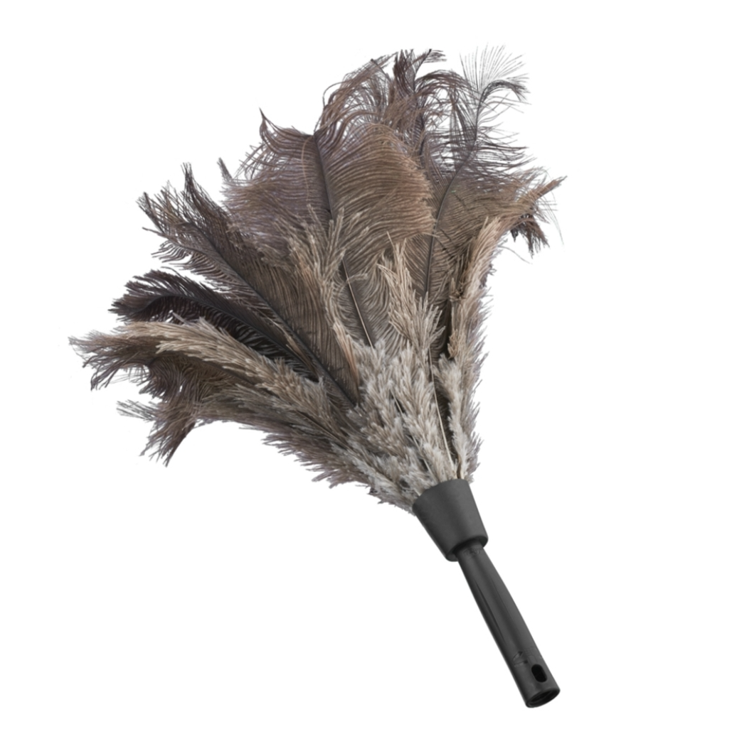 feather duster Blank Template - Imgflip