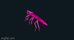 Repost if you're tired of Stick Bug - Imgflip