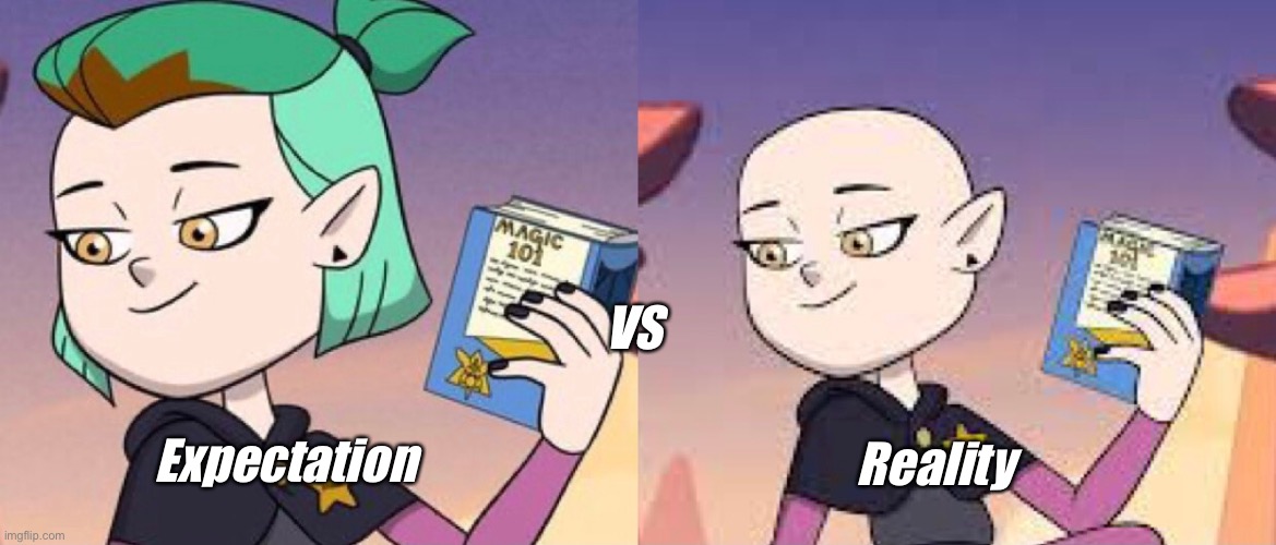 Expectation Vs Reality - Imgflip