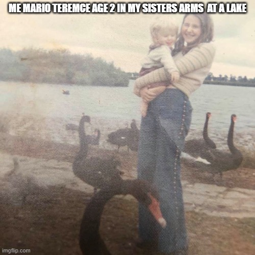 Mario Terence - Imgflip