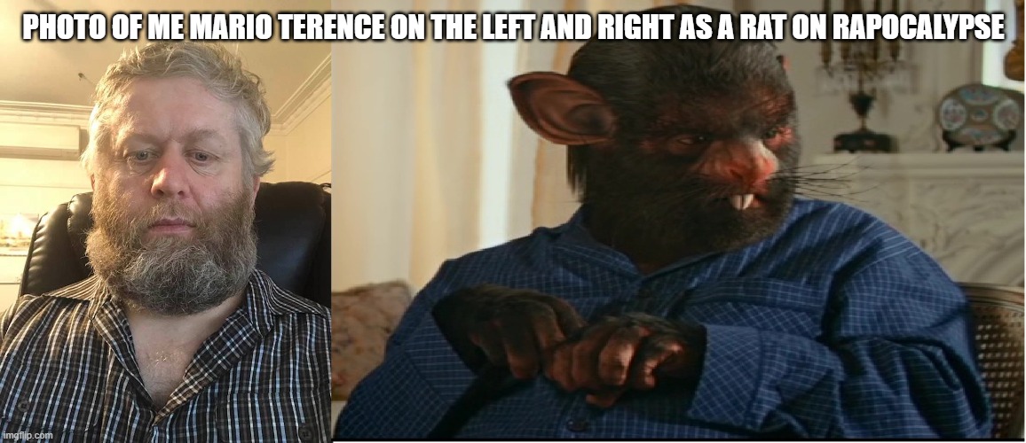 Mario Terence - Imgflip