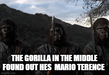 Mario Terence - Imgflip