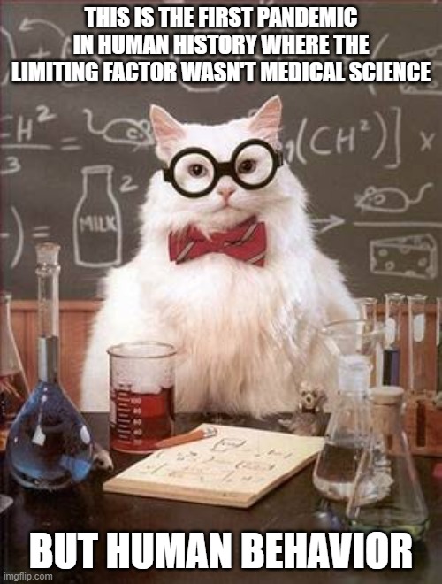 Science Cat Good Day - Imgflip