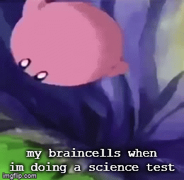 kirby falls off a cliff - Imgflip