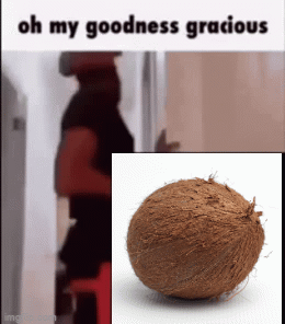 The kokonut nut is a big big nut - Imgflip
