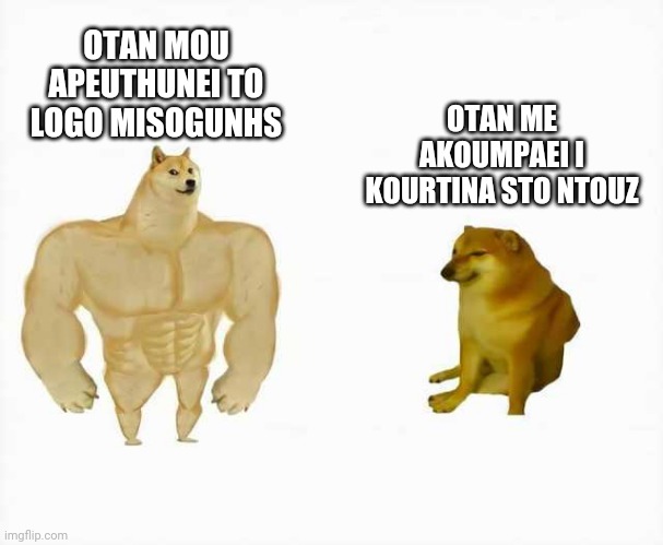 Strong dog vs weak dog - Imgflip