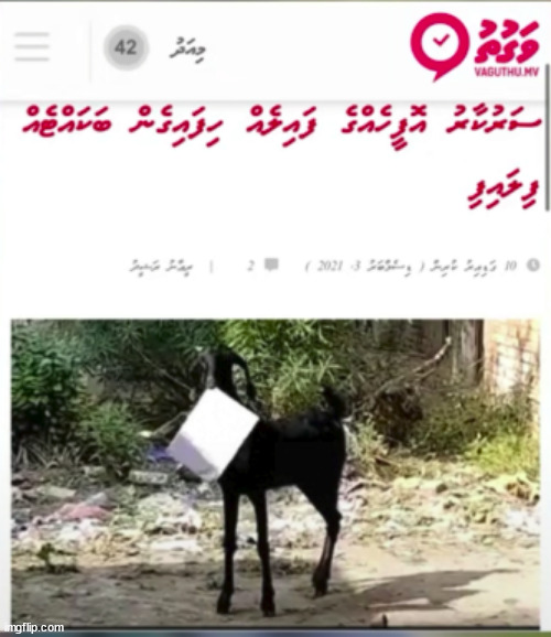 this bakari has some sass - Imgflip