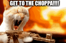 Get To The Choppa Cat - Imgflip