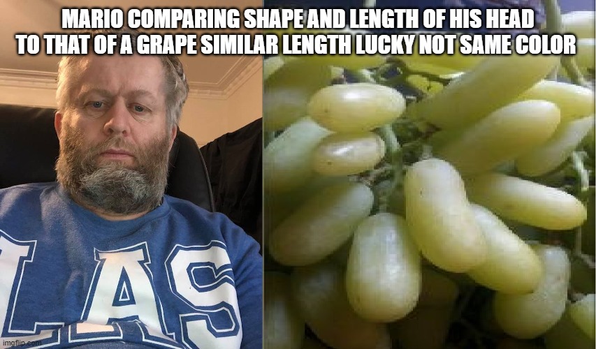 Mario Terence - Imgflip