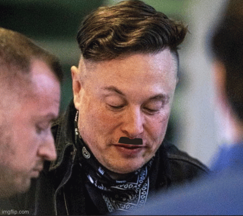 Hitler Jong Musk - Imgflip