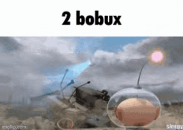 2 bobux - Imgflip