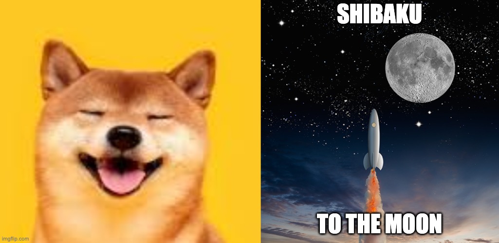 Image tagged in innd to the moon - Imgflip