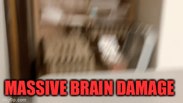 Massif brain damage - Imgflip