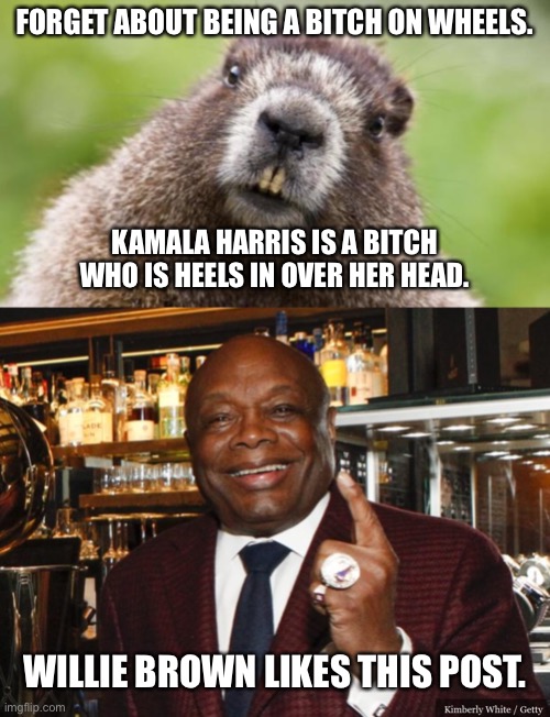 Heels Up Harris is heels in over her head - Imgflip