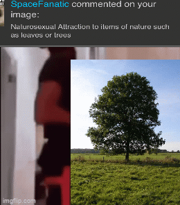 YEW KIDDING ME?! - Imgflip