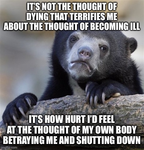 Confession Bear Meme - Imgflip