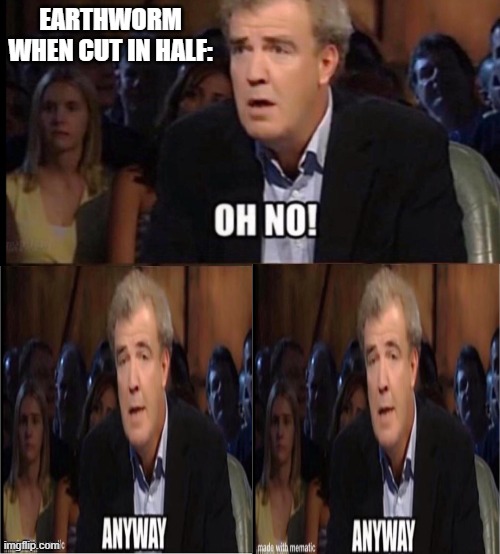 Try it, the earth worm will be fine - Imgflip