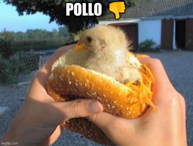 mcchicken mcpollo pollo chicken hamburguer hamburguesa - Imgflip