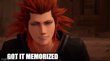 Kingdom Hearts Axel Got It Memorized
