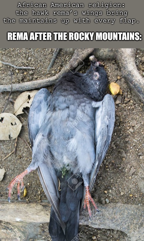 Can’t wait till the aderondex - Imgflip