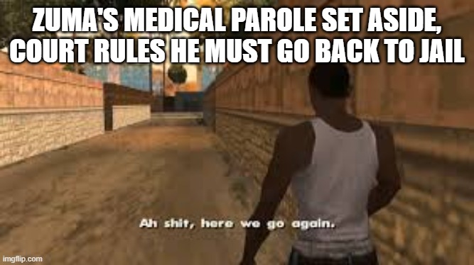 Another Zuma meme : southafrica