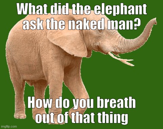 10 inch long dong no way - Imgflip