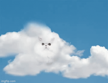Cat clouds - Imgflip