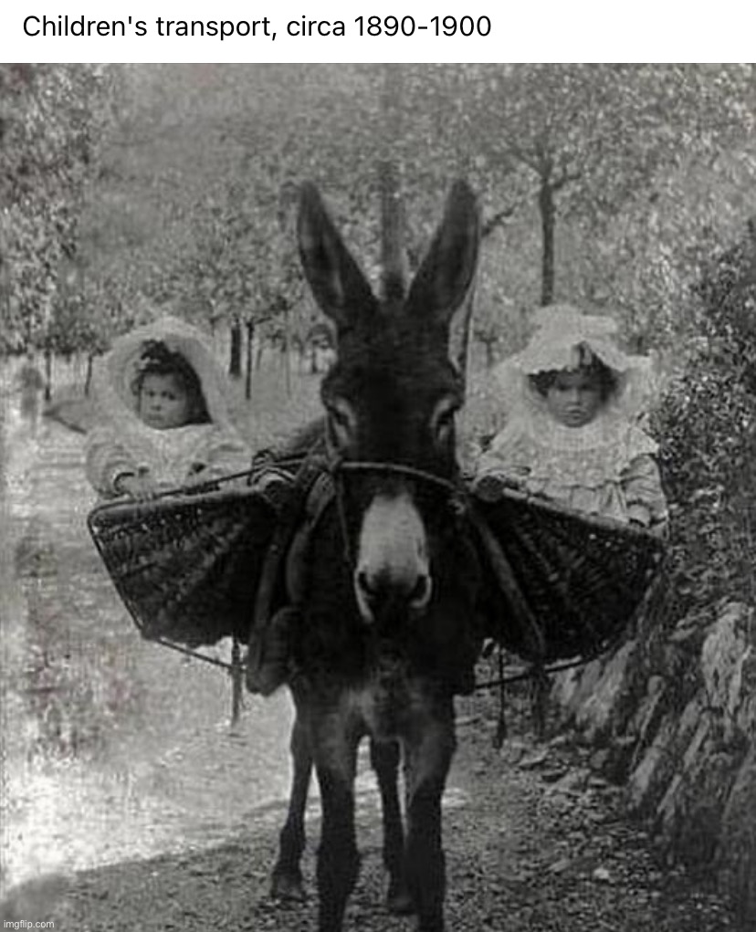 Image tagged in mule stroller - Imgflip