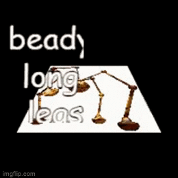 beady long legs - Imgflip